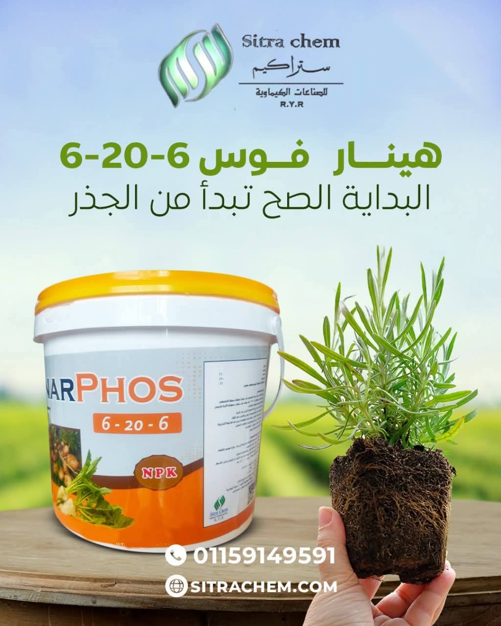 Our products - Sitra Chem | Egypt